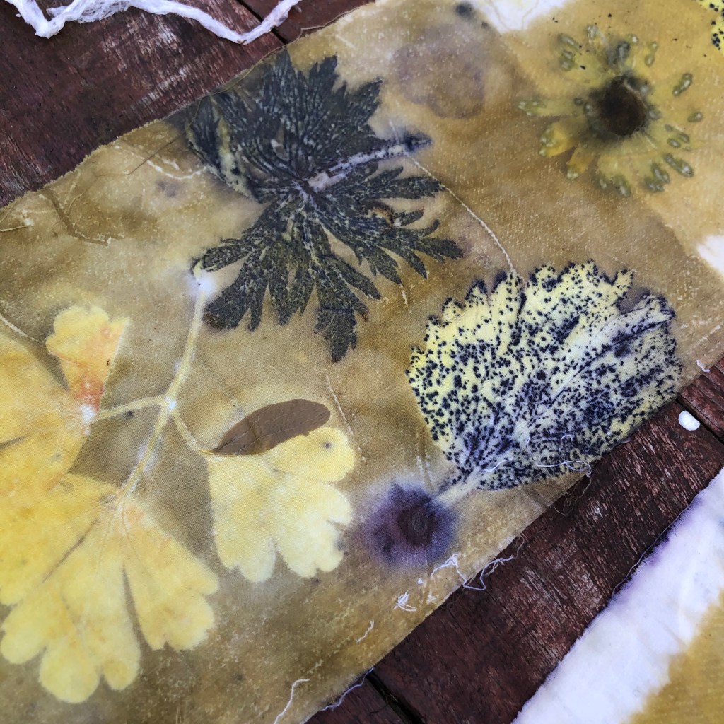 Printing in Woodlands, A botanical journey, POP UP EXHIBITION – THE ...