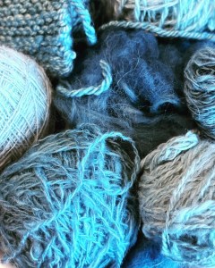 Dyeing Blue with Woad plants – Spring 2023 – THE LANSDOWNE HOUSE