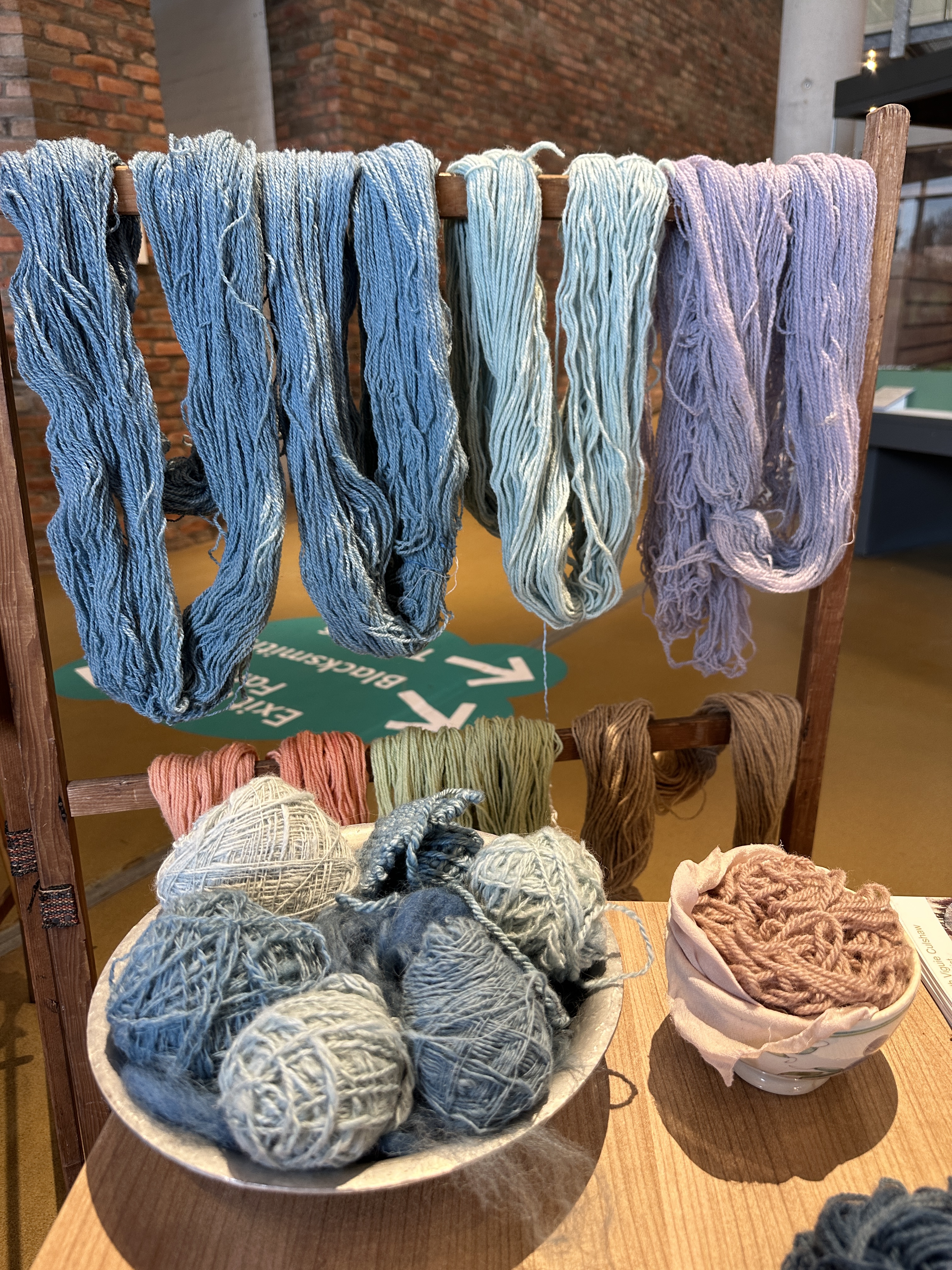 Dyeing Blue with Woad plants – Spring 2023 – THE LANSDOWNE HOUSE