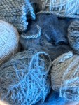 Dyeing Blue with Woad plants – Spring 2023 – THE LANSDOWNE HOUSE